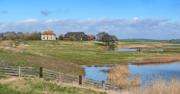 Kent Nature Partnership | Kent Nature