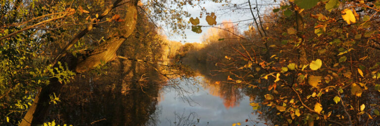 The purpose of KNP | Kent Nature