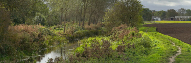 Chalk streams | Kent Nature