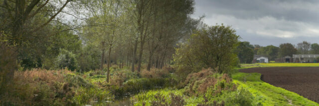 Lowland Mixed Broadleaved Woodland | Kent Nature