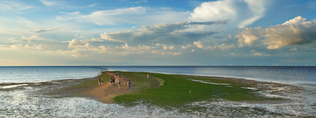 Connecting people with the natural environment | Kent Nature