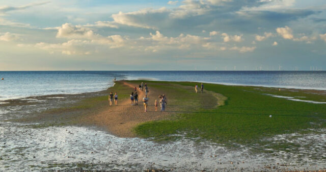 Our Strategy | Kent Nature