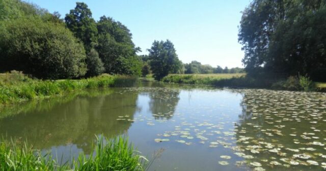 KNP freshwater and marine meeting at Sevenoaks Wildlife Reserve | Kent ...